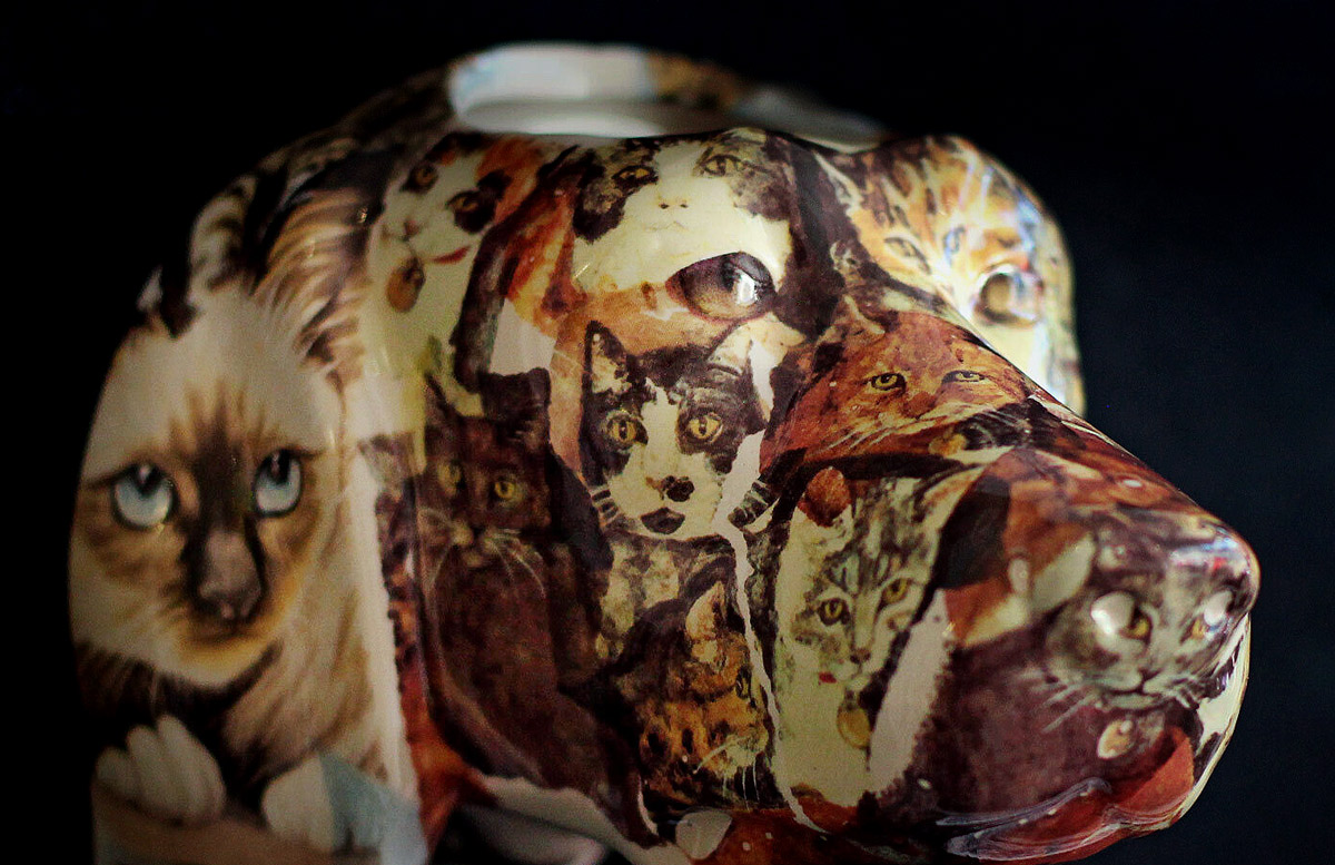 Cats & Dogs - PEOPLES REPUBLIC OF STOKES CROFT